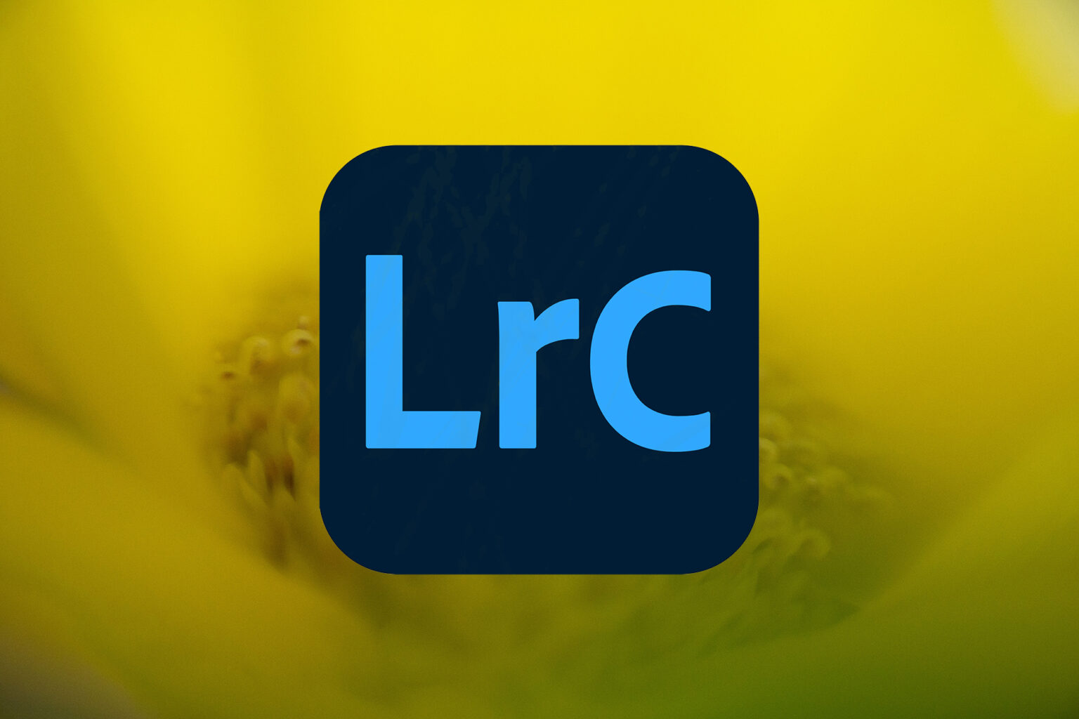 【コスパ重視】LightroomClassicの写真データの保管方法 | りゅうちゃんBLOG